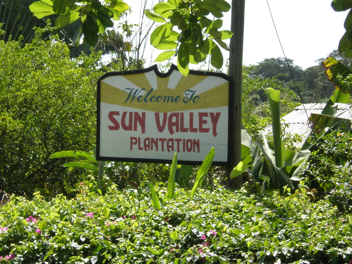 Sun valley plantation - Travelvipja